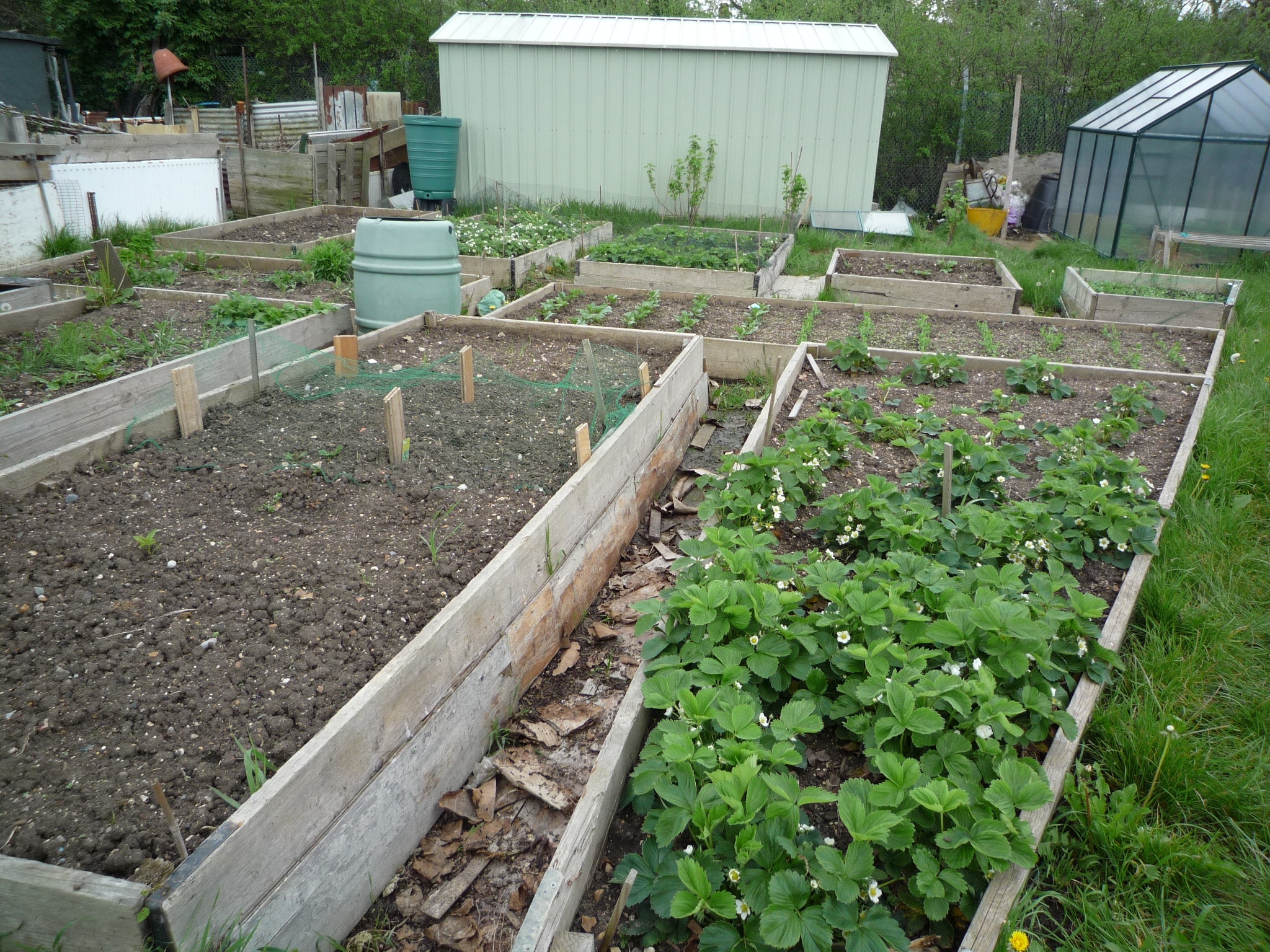 Community Allotment - NorthWestTWO Residents Association