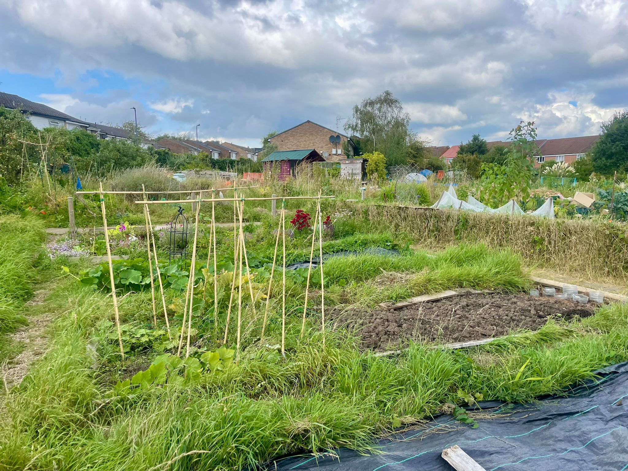 Community Allotment - NorthWestTWO Residents Association